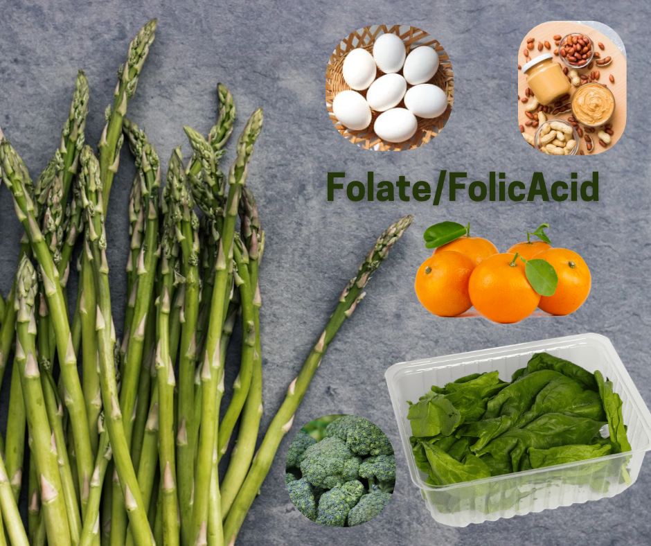 Folate's Critical Role in Fertility - The Fertility Nest
