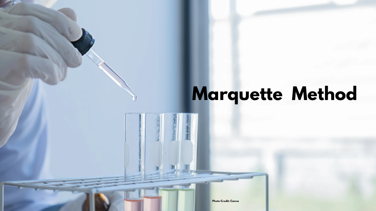 Understanding the Marquette Method of Fertility Awareness - The ...